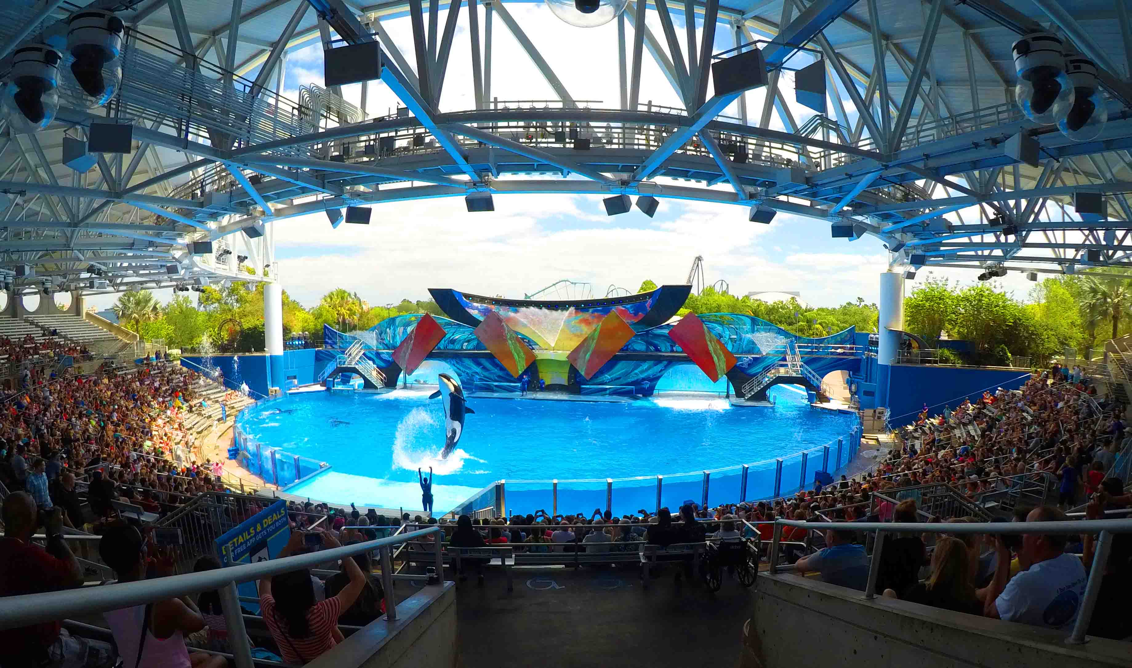 Conheça as atrações do SeaWorld Parks - TurismoETC