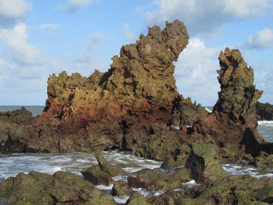 Visite a famosa praia de Tambaba (PB) - TurismoETC