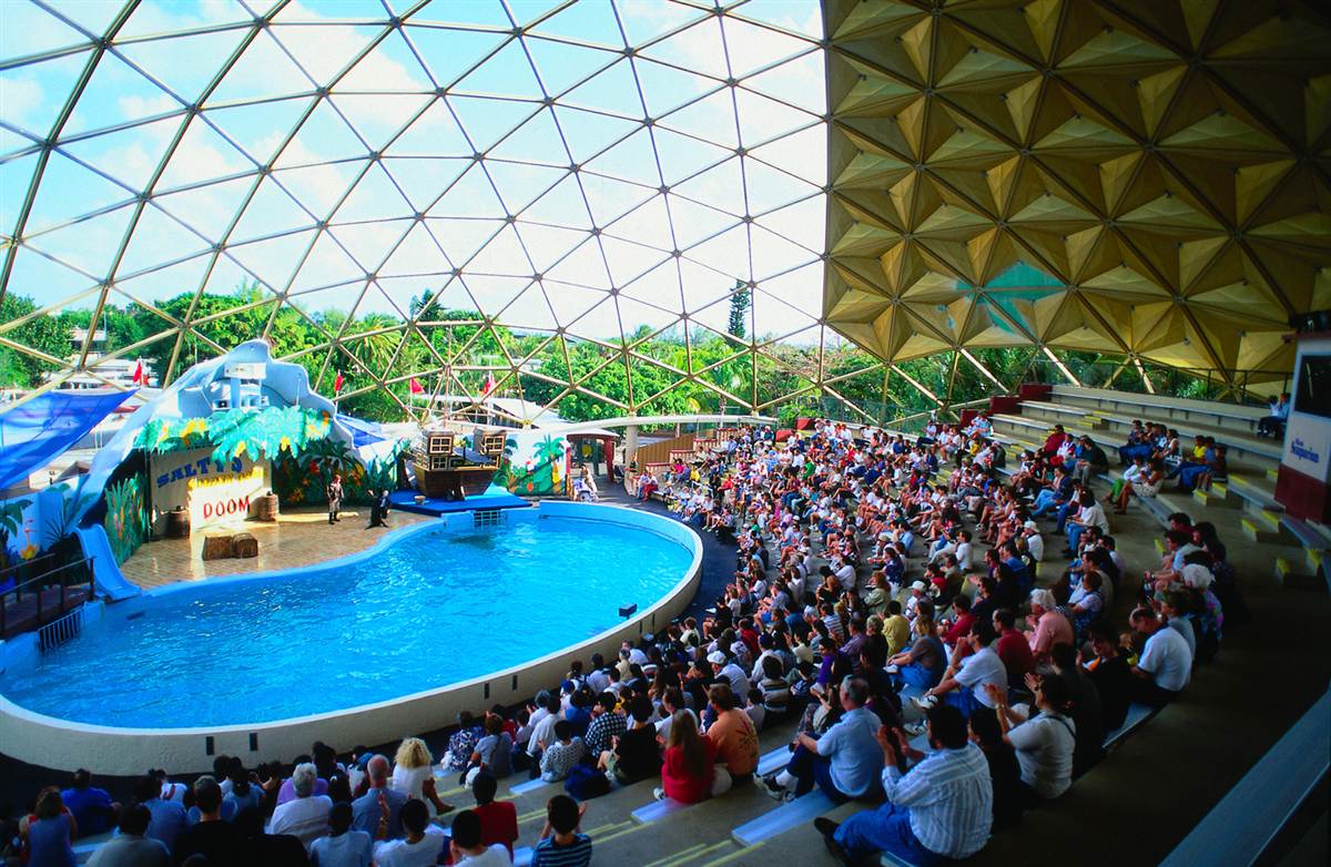 Miami Seaquarium (EUA) inaugura nova entrada principal - TurismoETC