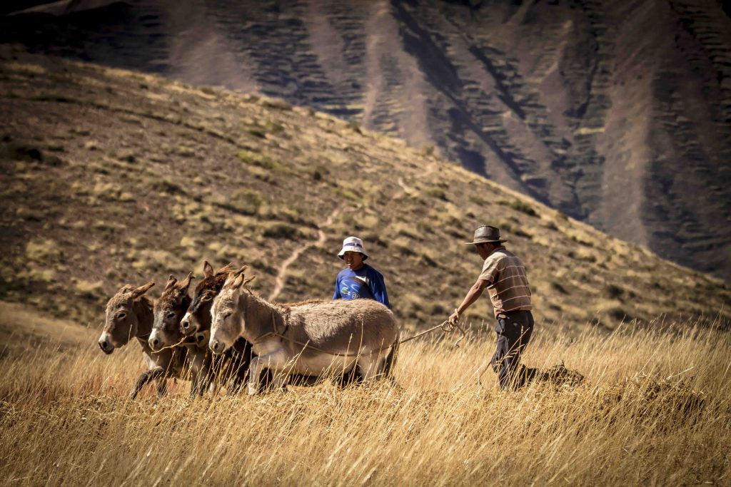 Turismo Rural no Peru: o que fazer por lá - TurismoETC